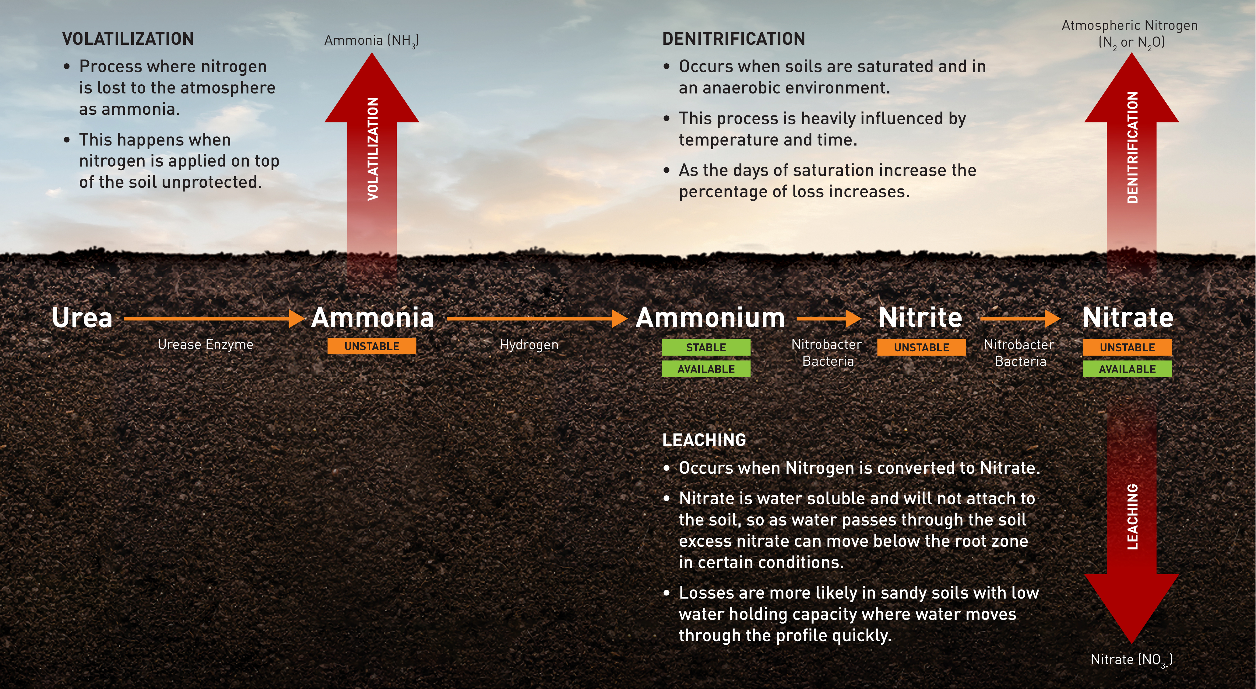 Nitrogen Stabilizers | NexusBioAg