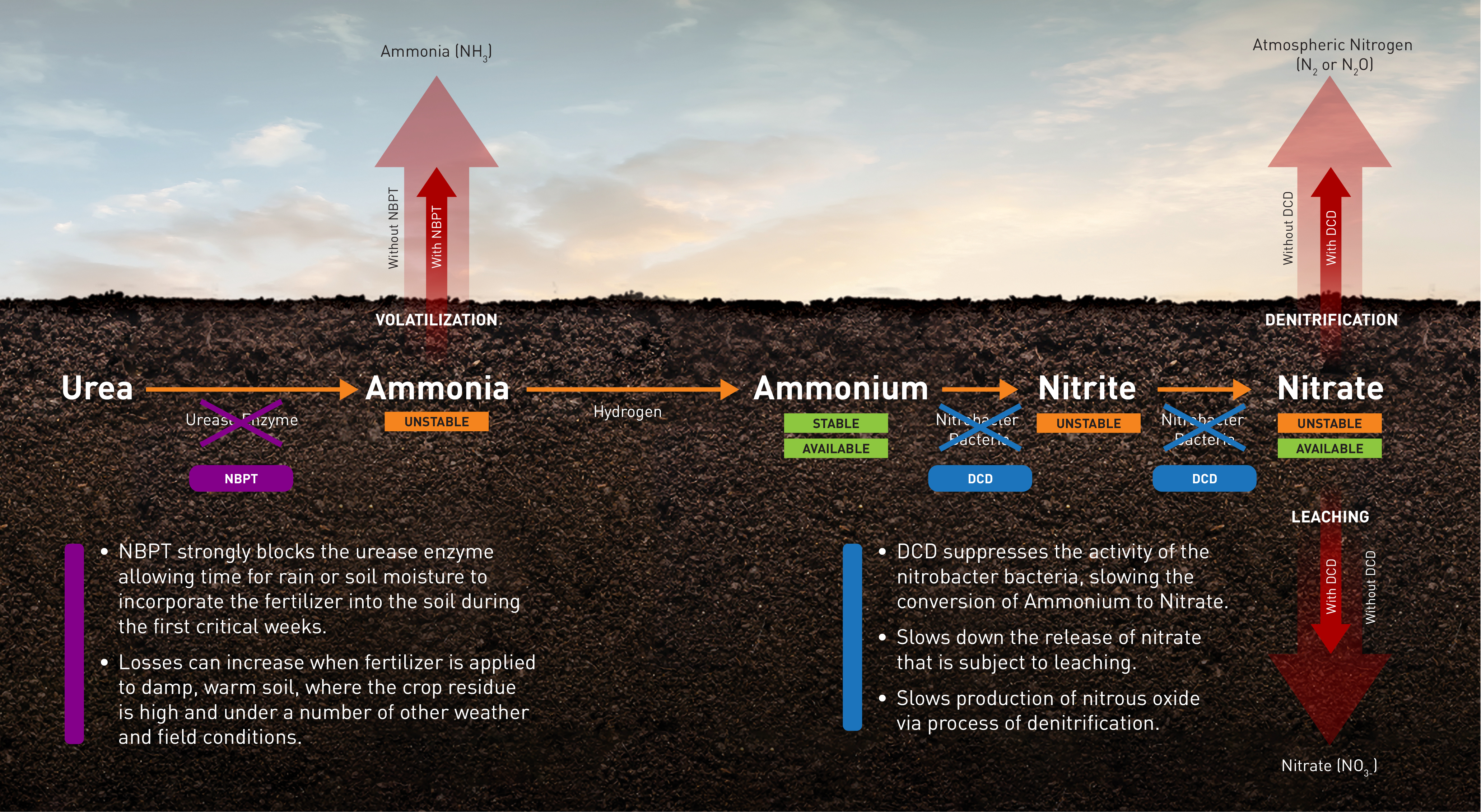 Nitrogen Stabilizers | NexusBioAg