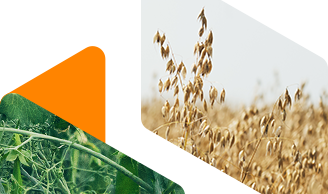 Nitrogen Stabilizers | NexusBioAg